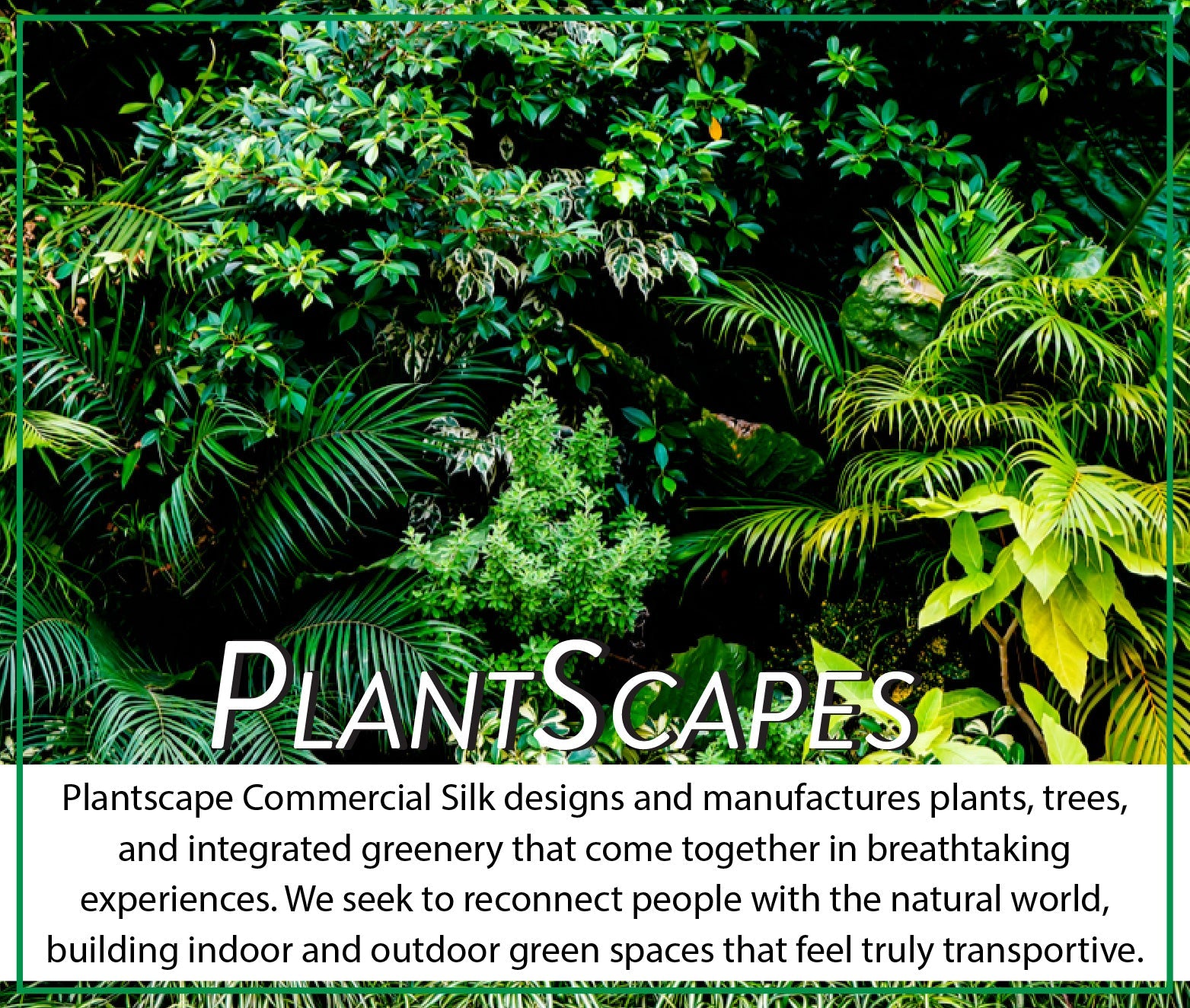 PlantScapes – Capital Shade
