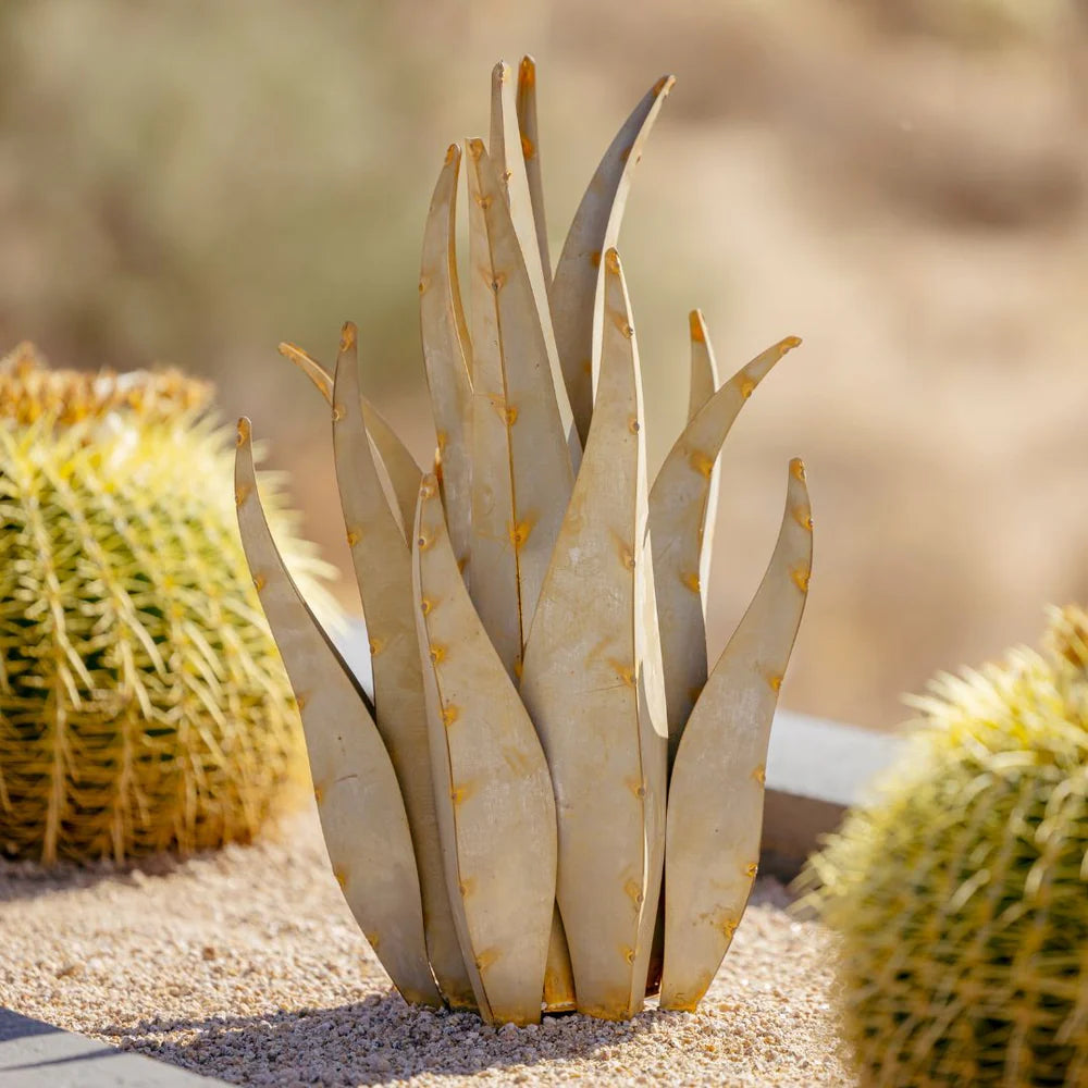 EMPEROR AGAVE – Capital Shade