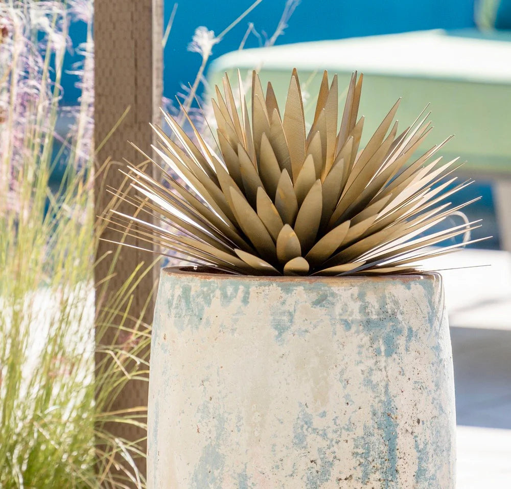 YUCCA – Capital Shade